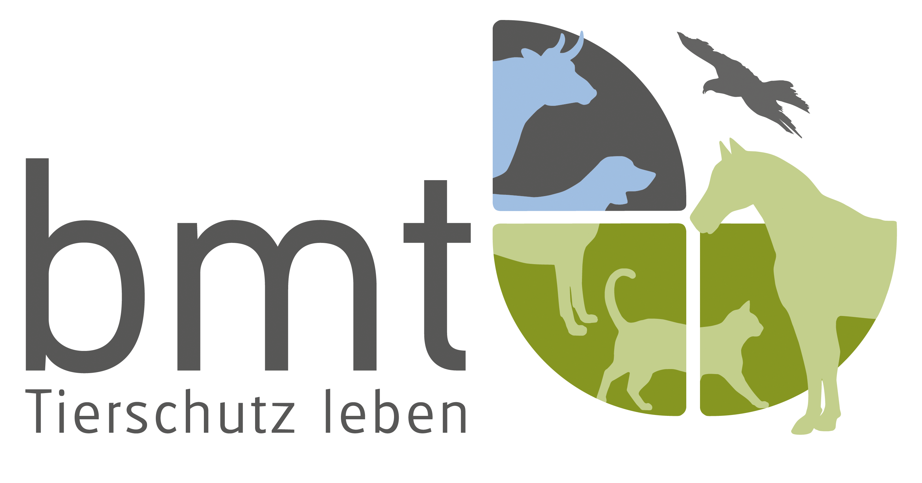 News - Franziskus Tierheim Hamburg