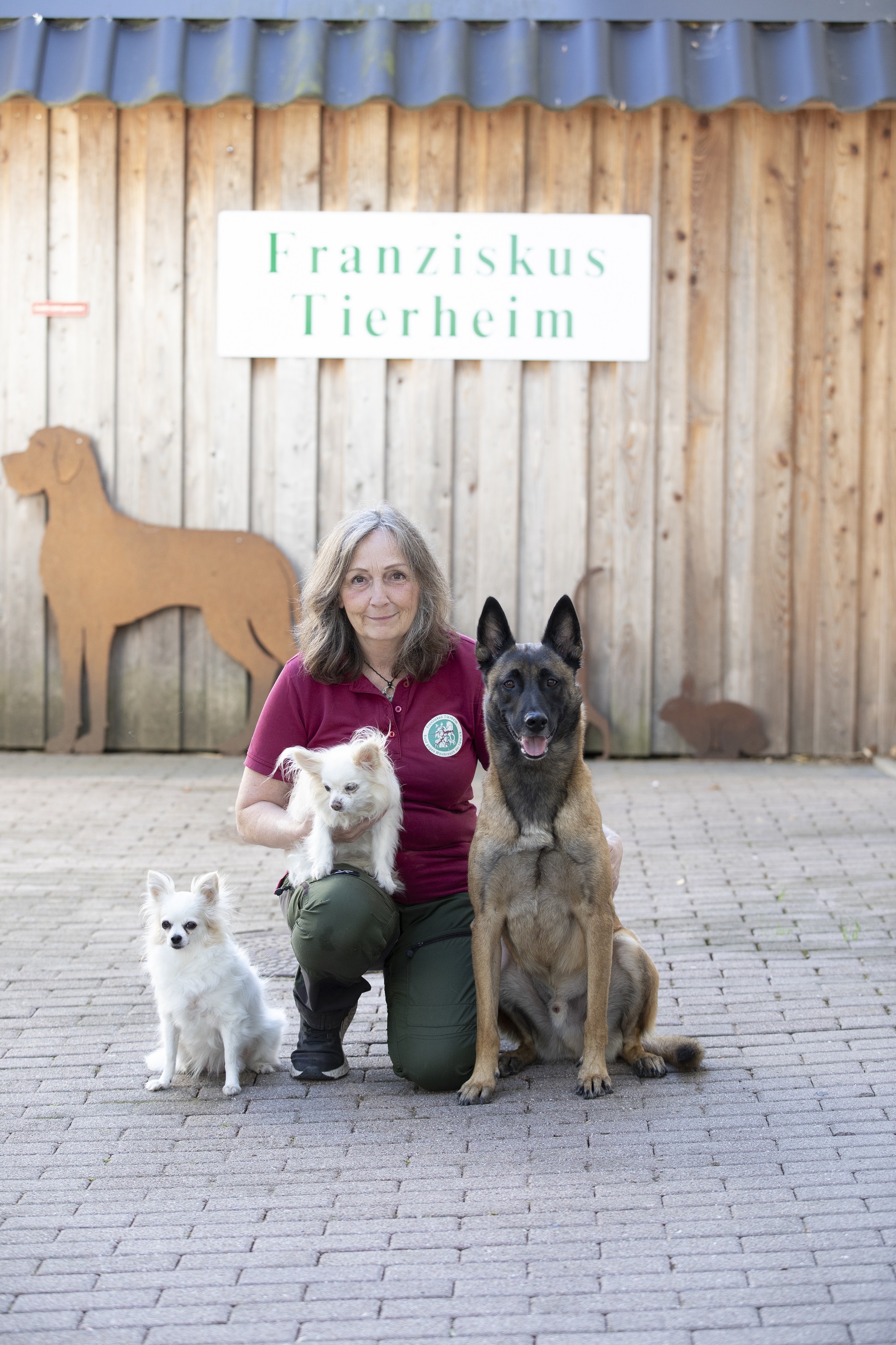 Das Team - Franziskus Tierheim Hamburg