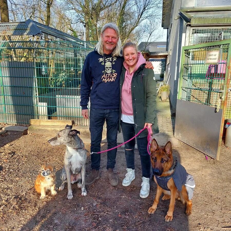 Start - Franziskus Tierheim Hamburg